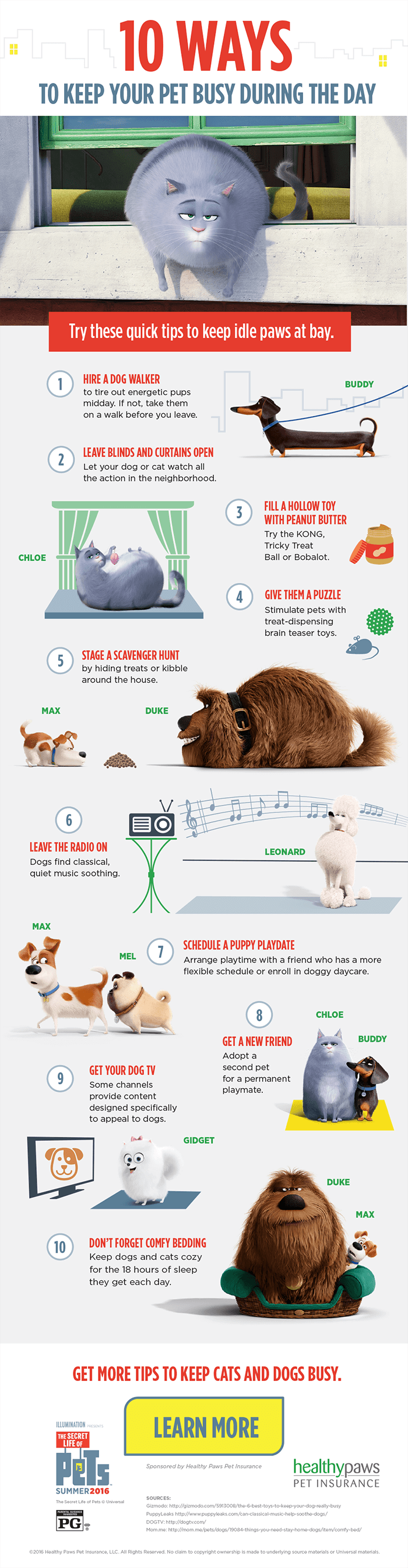 10 Ways to Keep Your Pet Busy [Infographic] | Healthy Paws